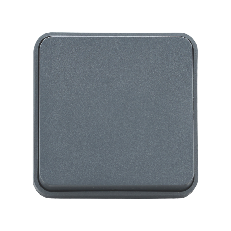 DEBFLEX - CYKLONE IP55 Bouton Poussoir Anthracite - 730427 | Leroy Merlin