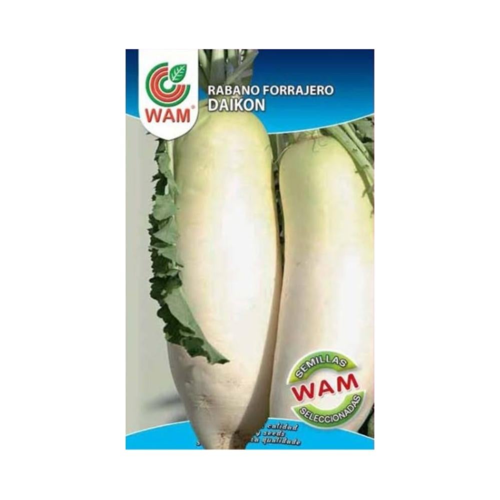 Semillas WAM de Rábano Forrajero DAIKON - Caja de 250 gr | Leroy Merlin
