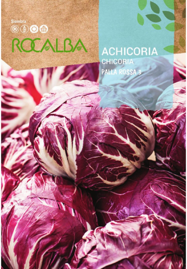 ROCALBA SEMILLA ACHICORIA PALLA ROSSA 3 100g | Leroy Merlin