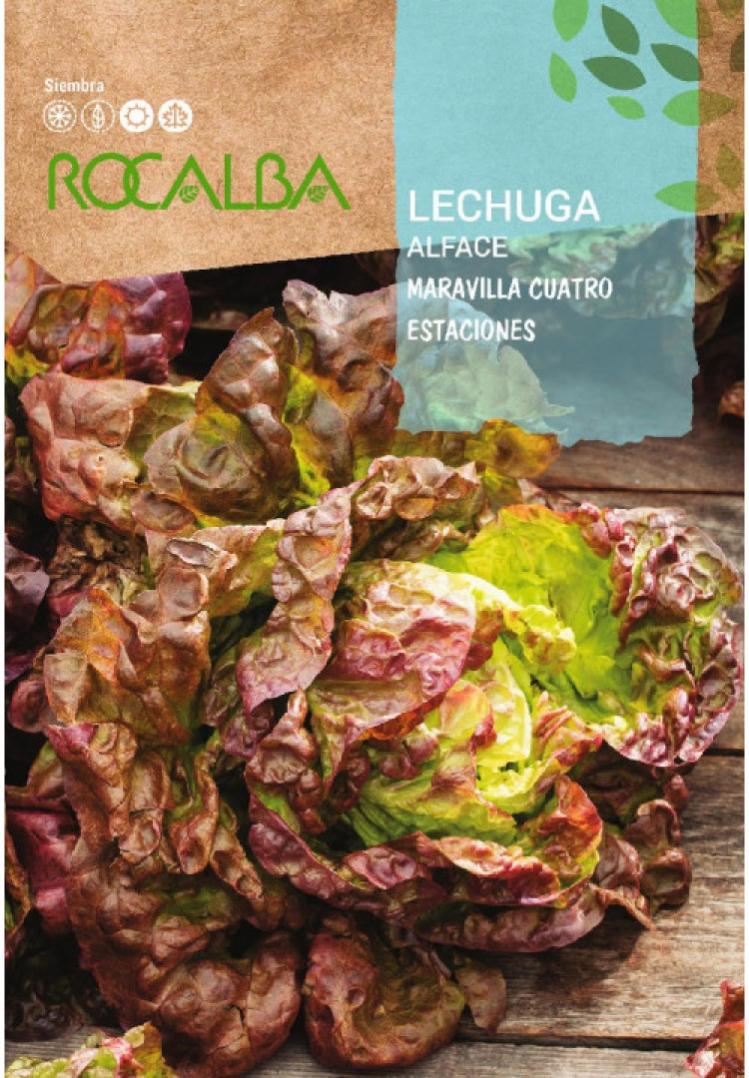 ROCALBA SEMILLA LECHUGA MARAVILLA 4 ESTACIONES 100g | Leroy Merlin