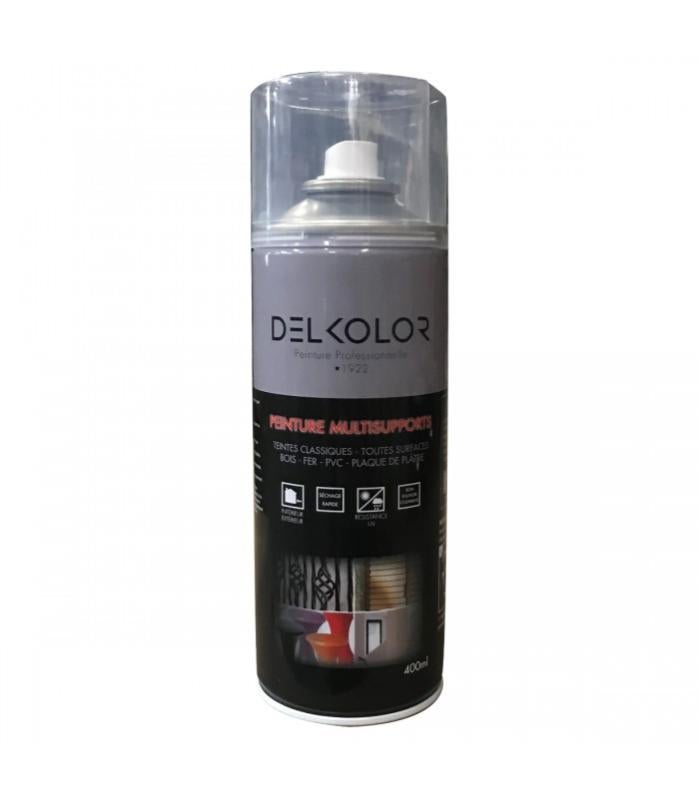 Delkolor Vernis Spécial Bois Incolore en Aérosol - 400ml (Brillant ...