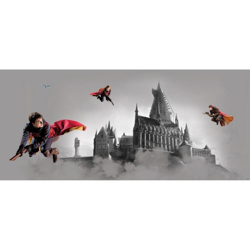 Poster géant horizontal Harry Potter sur son balais 170 x 75 CM | Leroy ...
