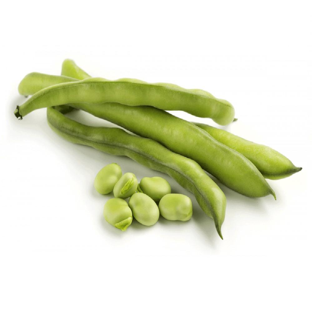 Semi di FAVE SUPER AGUADULCE supersimonia sel. SAMBA 1 kg Hortus ...