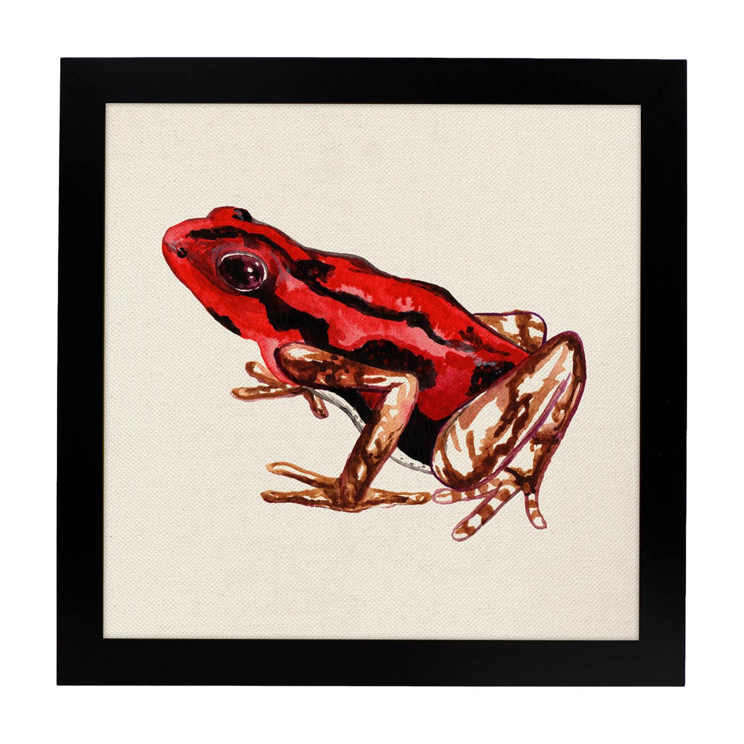 Poster Quadrato Con Disegni Di Rane E Tartarughe. Sono Un Foglio Di ...