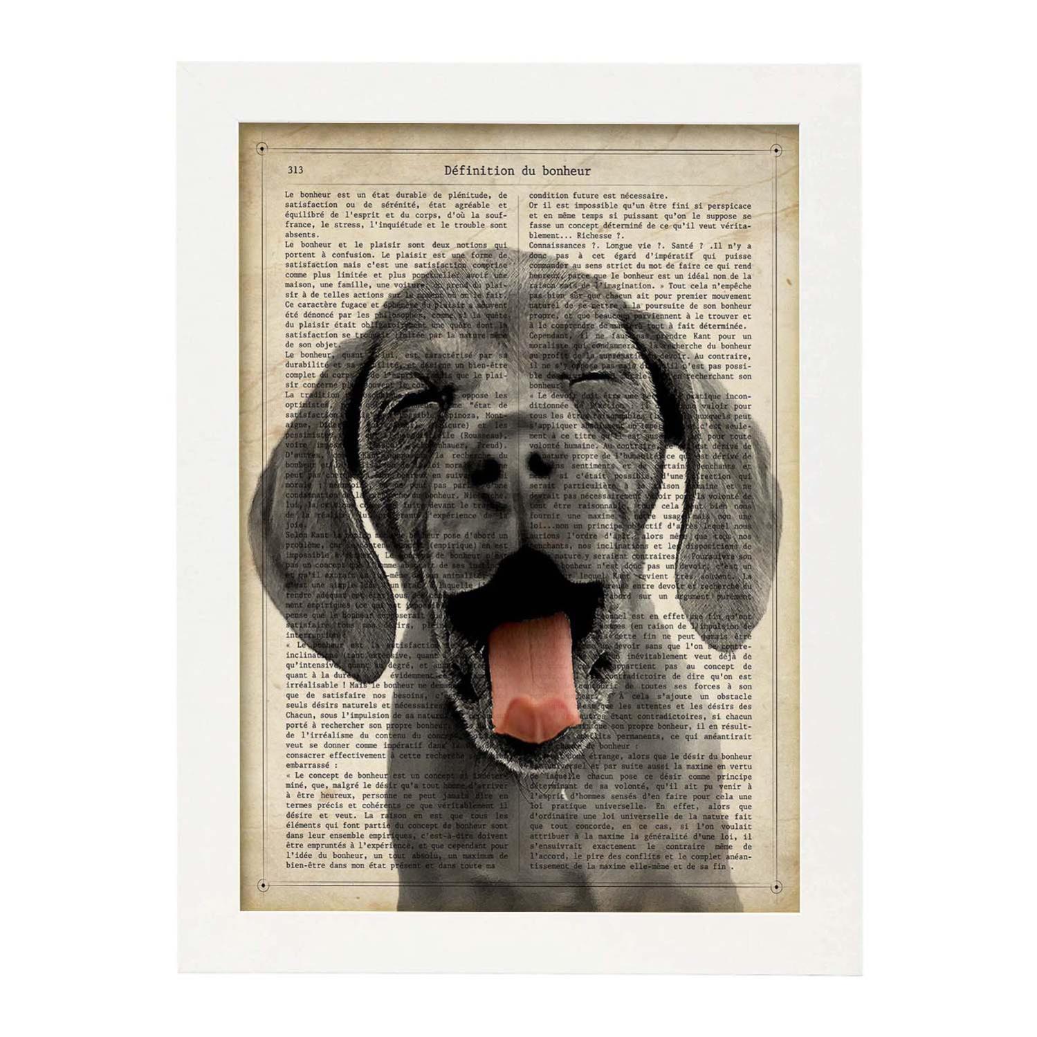Poster De Perro Con Lengua Fuera. Láminas De Animales Con Definiciones ...