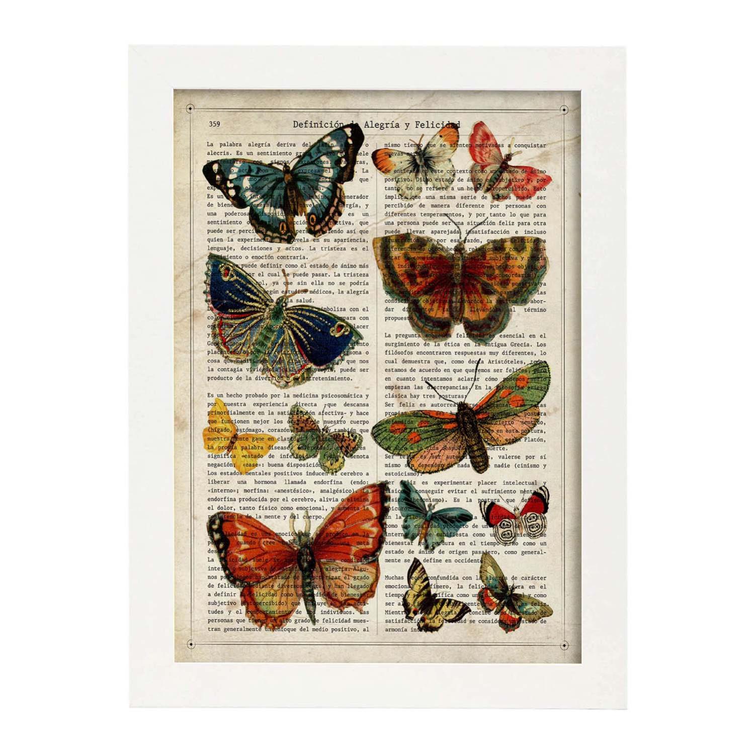 Poster De Colección De Mariposas. Láminas De Mariposas. Decoración De ...