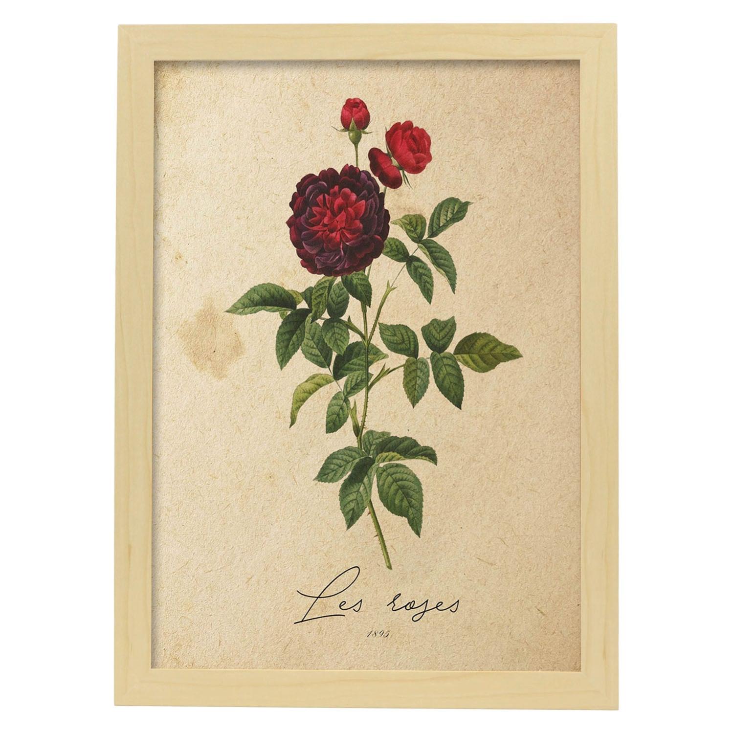 Affiche De Fleurs Vintage. Les Roses 2 Avec Conception Vintage. Cadre ...
