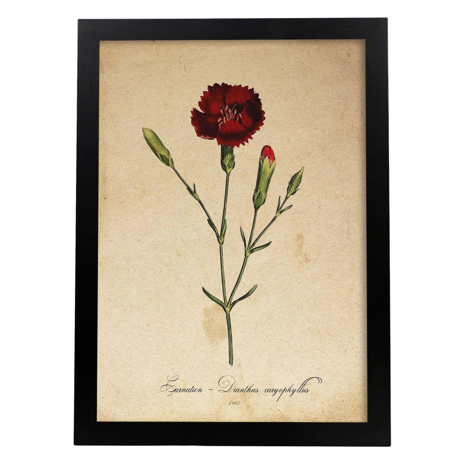 Affiche De Fleurs Vintage. Feuille D'embarquement Avec Conception ...