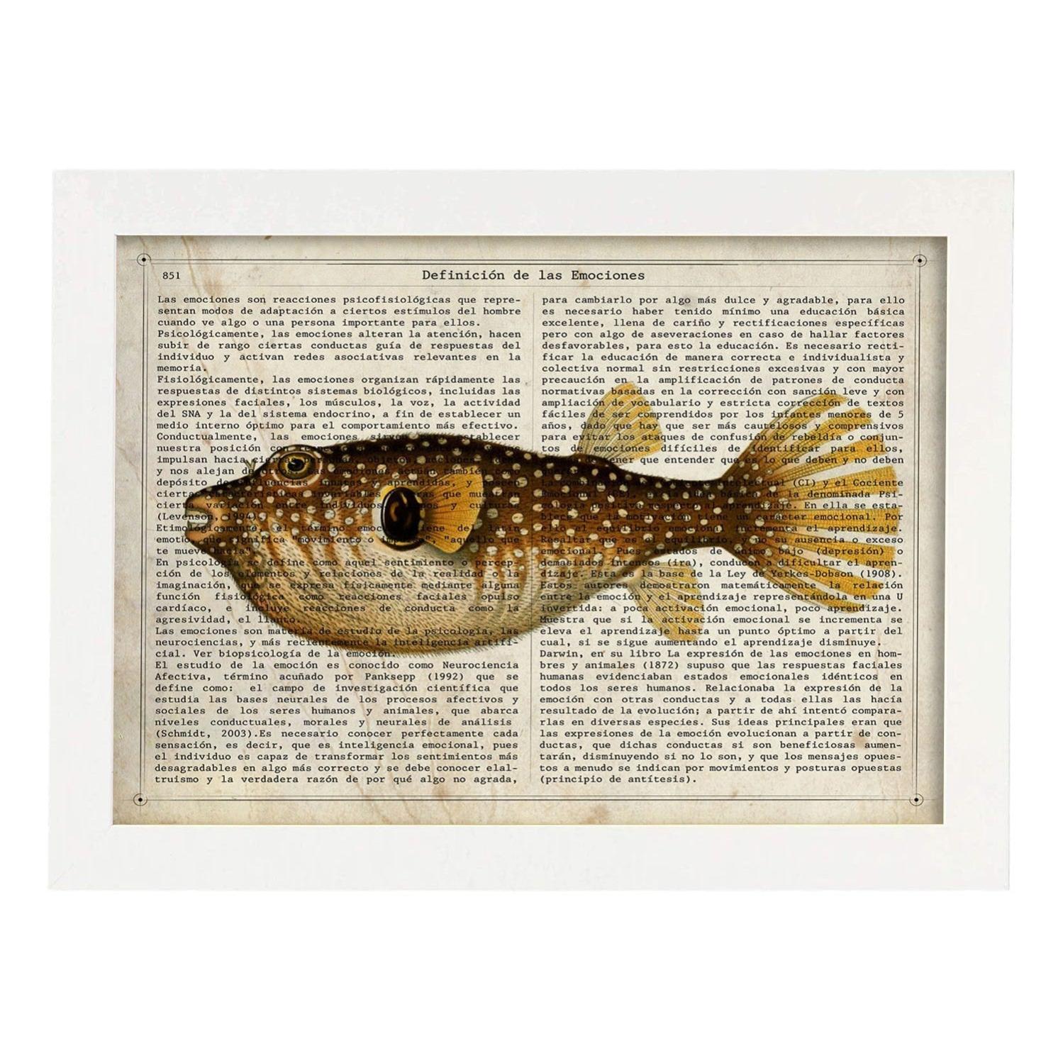 Affiche De Poisson Marin. Feuille De Poisson En Ballon Avec Définition ...