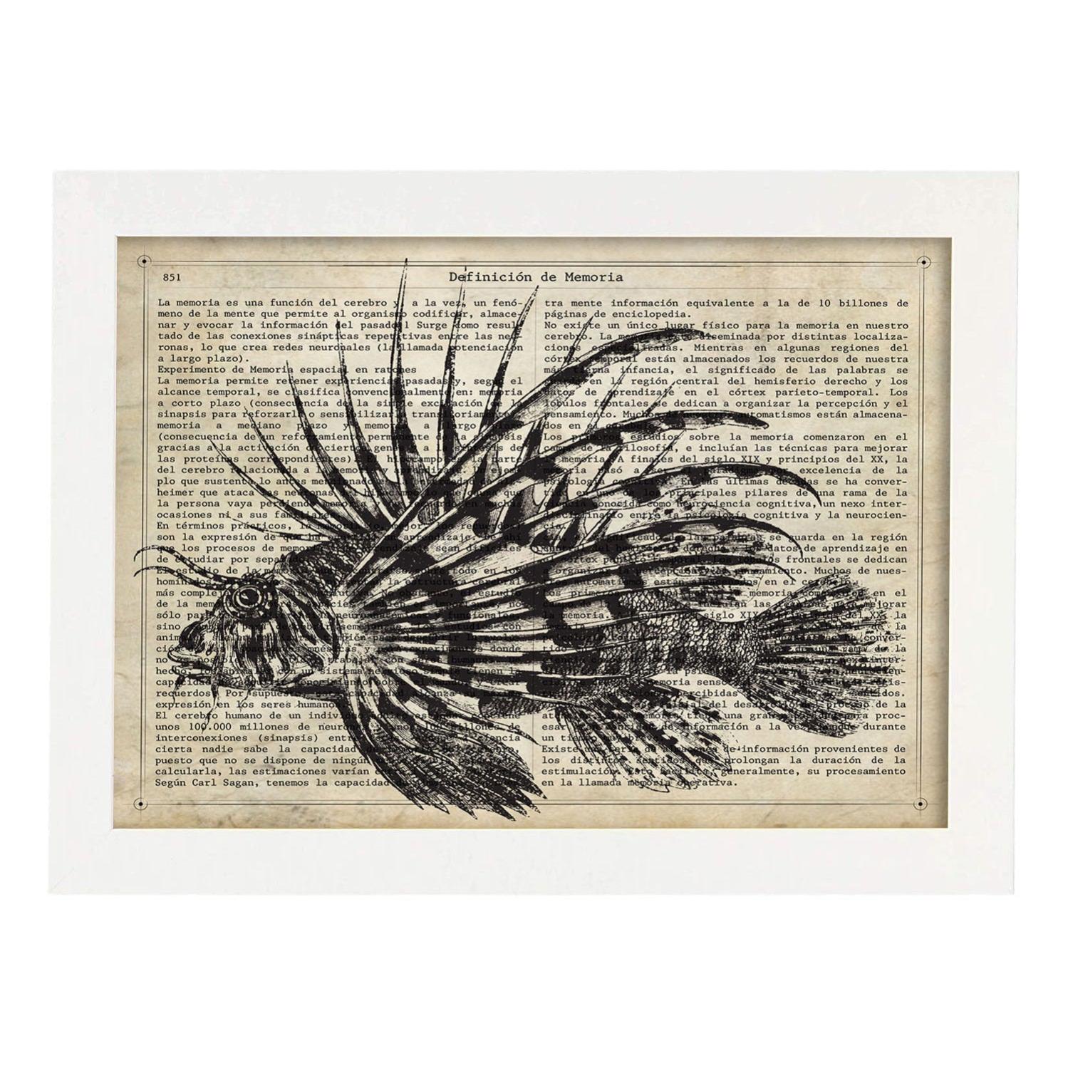 Poster Di Leon Fish. Sheet Per Animali Con Definizioni. Illustrazioni ...