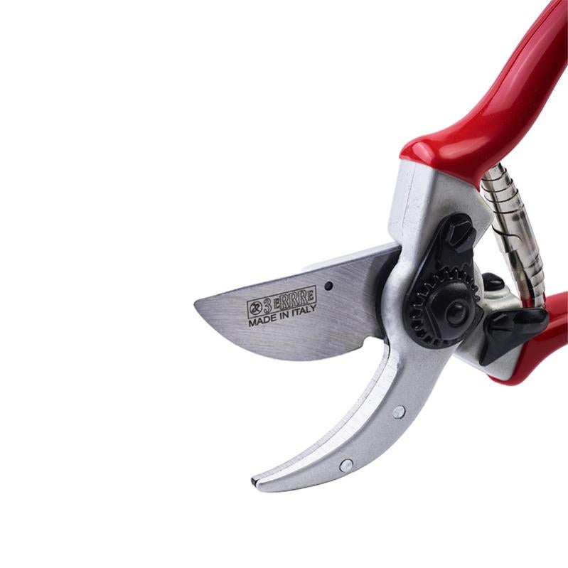FPP2 Sécateur PROFESSIONNEL | Leroy Merlin