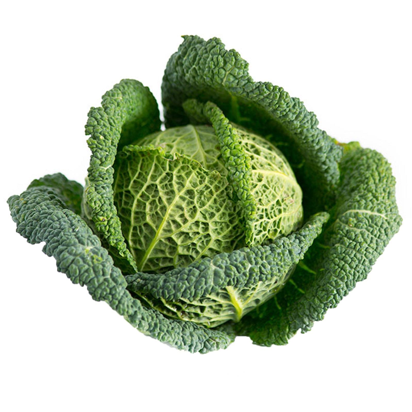 Semi di Cavolo Verza re d'inverno 2 piante per orto e giardino ...