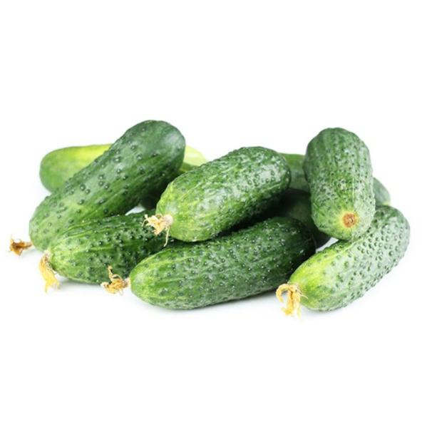 Semi di cetriolo "Piccolo verde di Parigi" piante per orto e giardino ...