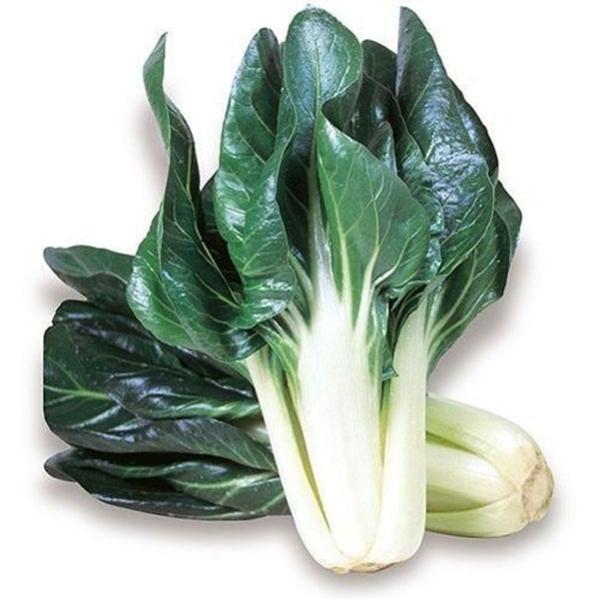 Semi di bietola verde "A costa larga argentata 3" piante per orto e ...