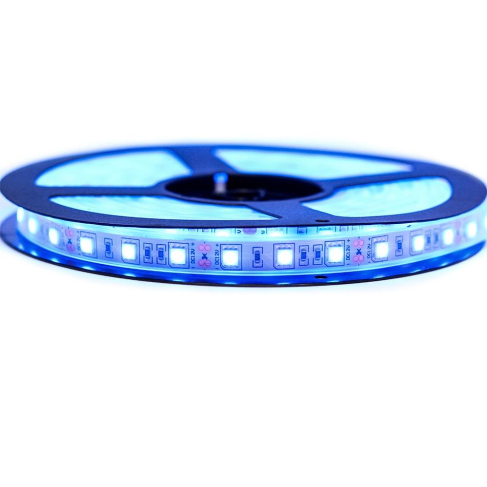Ruban LED Professionnel 5050 / 60 LED 5 mètres bleu electrique étanche (IP67) - 5 mètres ...