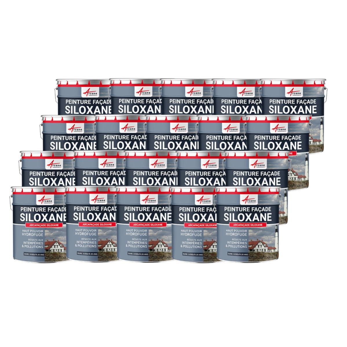 Pittura silossanica - ARCAFACADE SILOXANE-20 x 10 L Tinta Sabbia - RAL ...