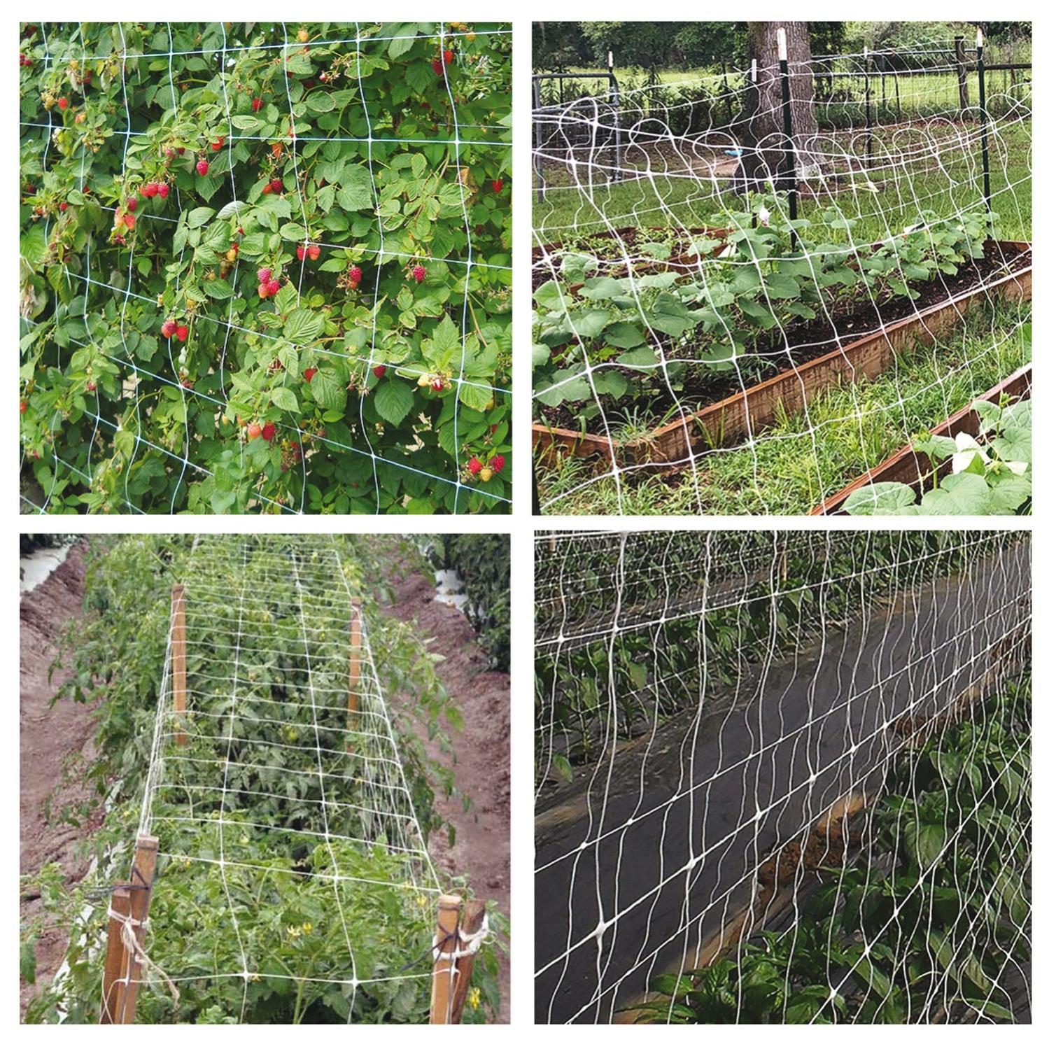 Rete Per Recinzione H 100 Rete Ortofrutta In Nylon Sostengreen ...