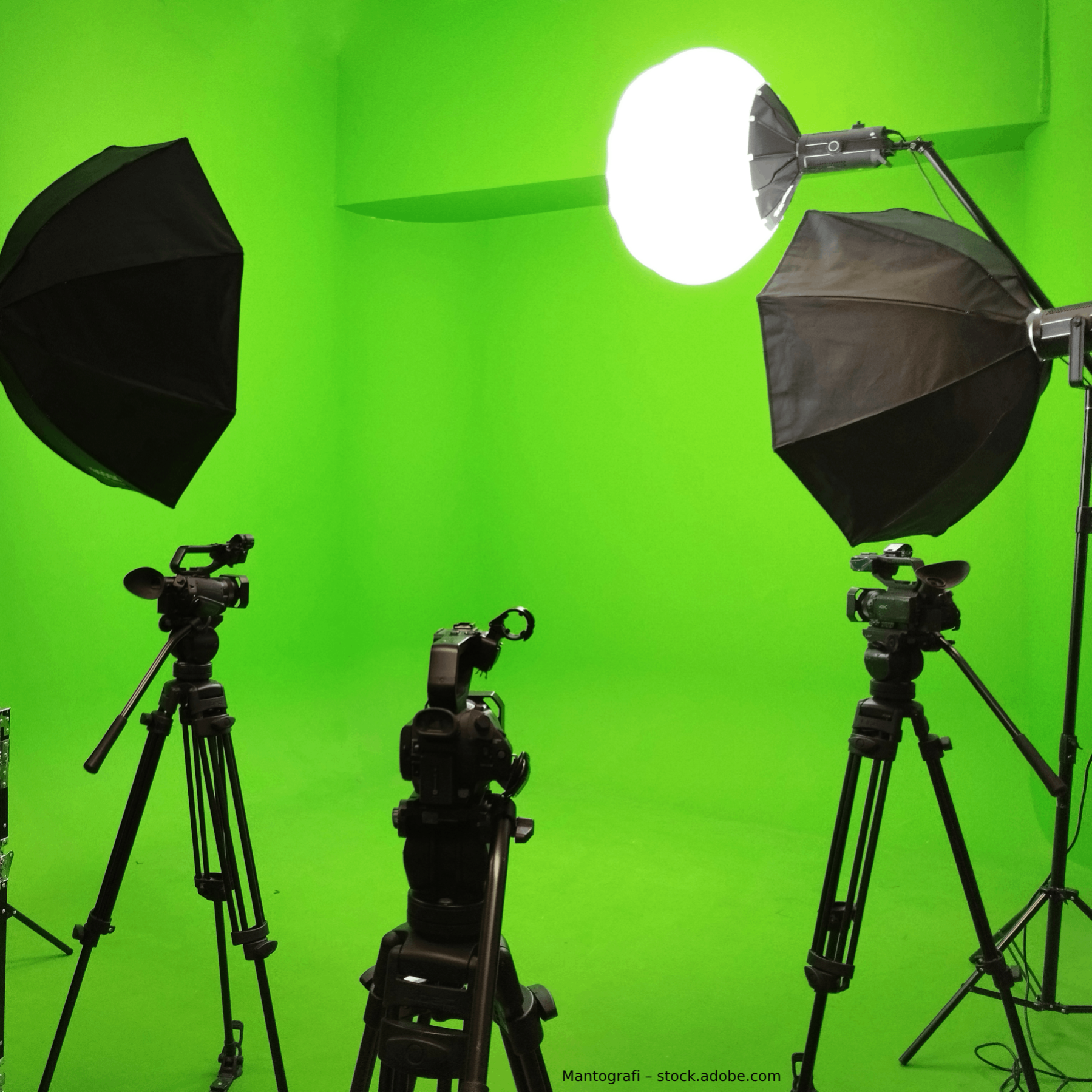 WALLCOVER Peinture murale de qualité supérieure Vert, Chroma Key ...