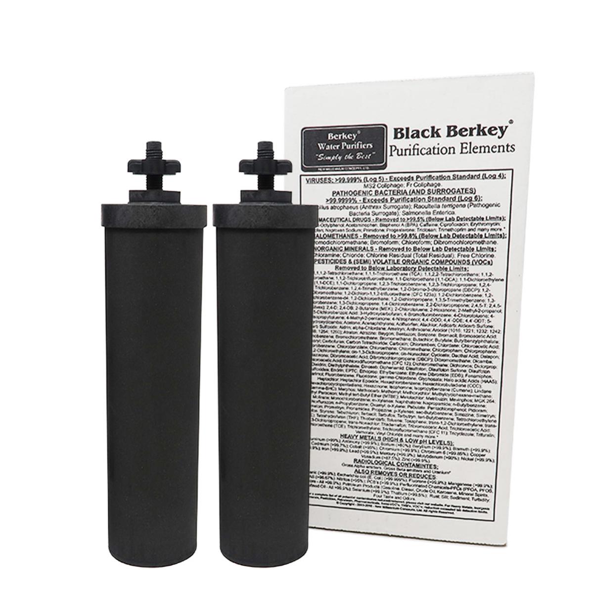 Filtres au charbon actif Black Berkey | Leroy Merlin