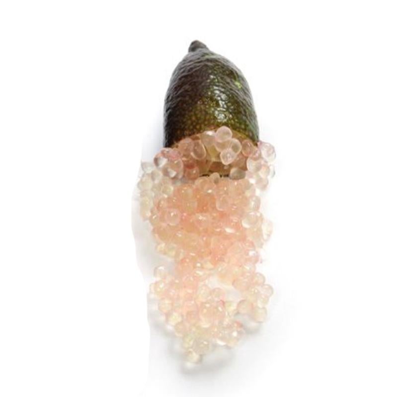 Pianta di Limone Caviale Rosa (Citrus Australasica) in fitocella ...
