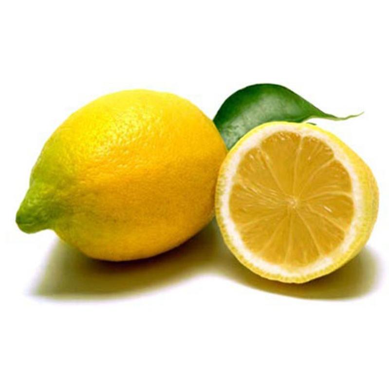 Pianta di limone Femminello Siracusano 2KR (Citrus limon L. Burm) in ...