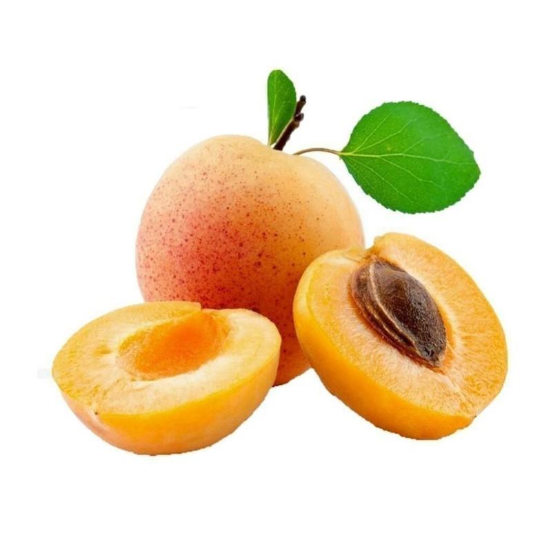 Pianta di Albicocca Bulida (Prunus armeniaca) in fitocella | Leroy Merlin