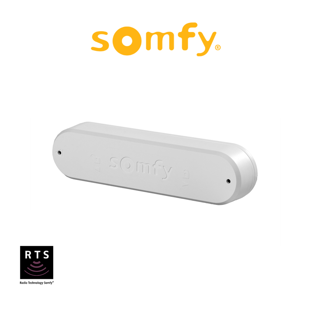 EOLIS 3D WIREFREE RTS Somfy sensore di vibrazione per motori radio RTS ...