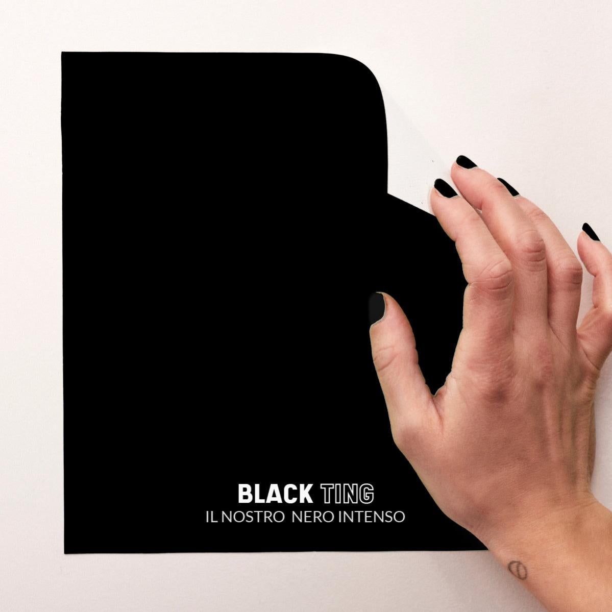 SAMPLE BLACK TING | Leroy Merlin