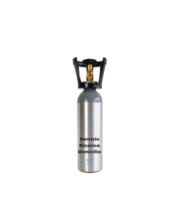 Ricarica Bombola 2Kg co2 | Leroy Merlin