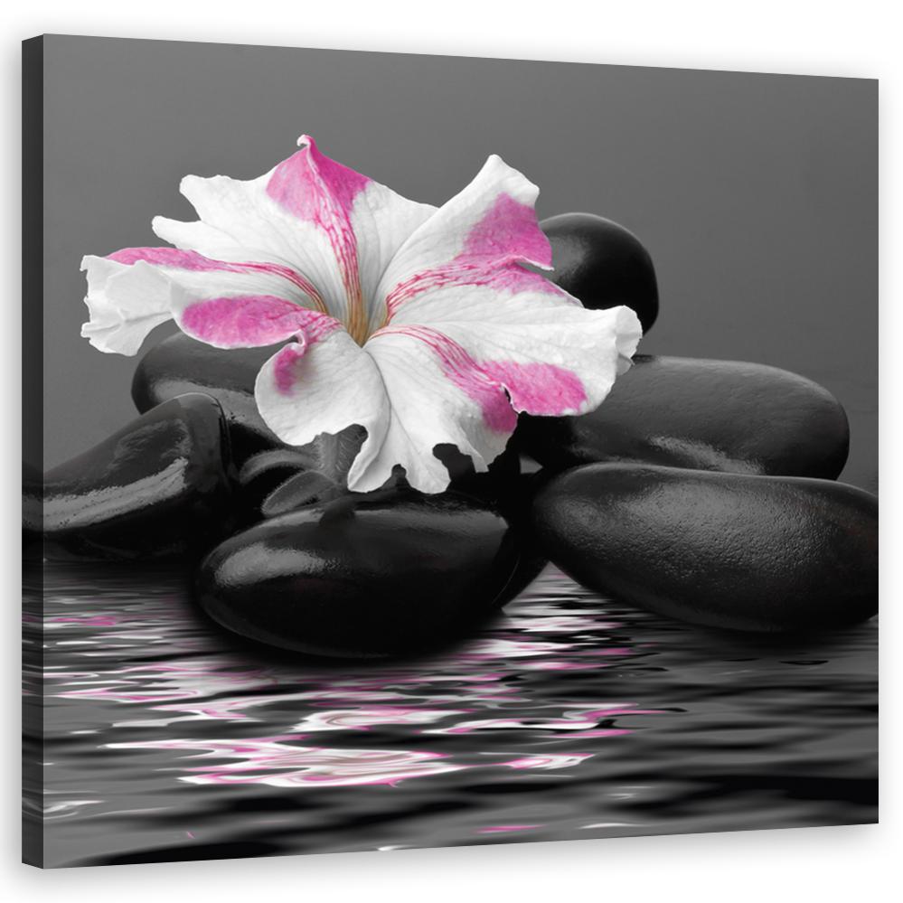 Quadro su tela, Stones Pink Flower Zen - 60x60 | Leroy Merlin