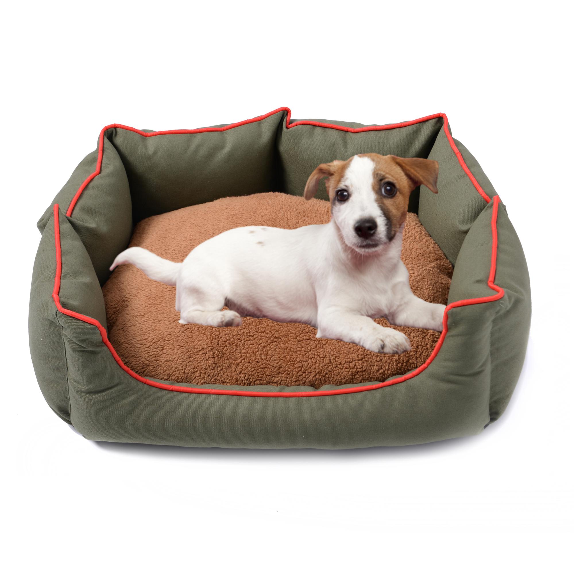 MaxxPet Coussin de lit pour chien - lit pour chien - coussin animal ...