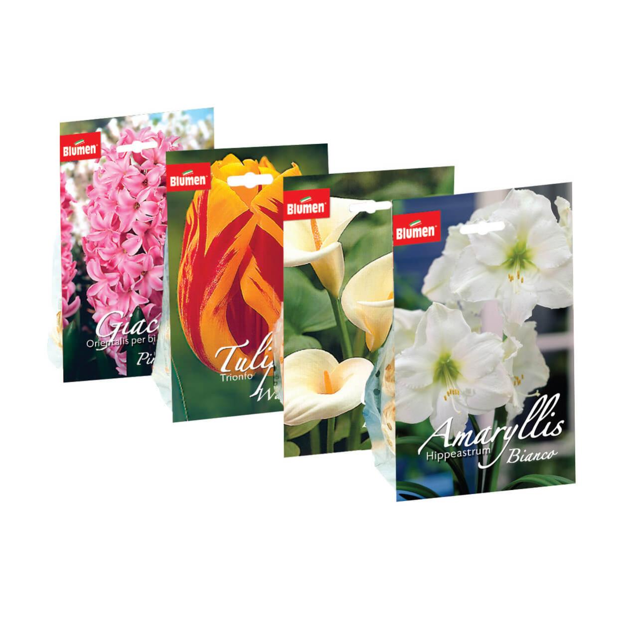 BULBI PRIMAVERA-AUTUNNO ASSORTITI | Leroy Merlin