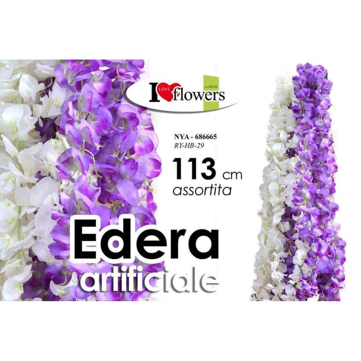 EDERA COLORATA CM.113 ASSORTITE | Leroy Merlin