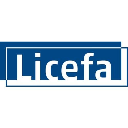 Licefa K2009/9-9-8P-1P-8 Coffret de rangement (L x l x H) 153 x 107 x ...