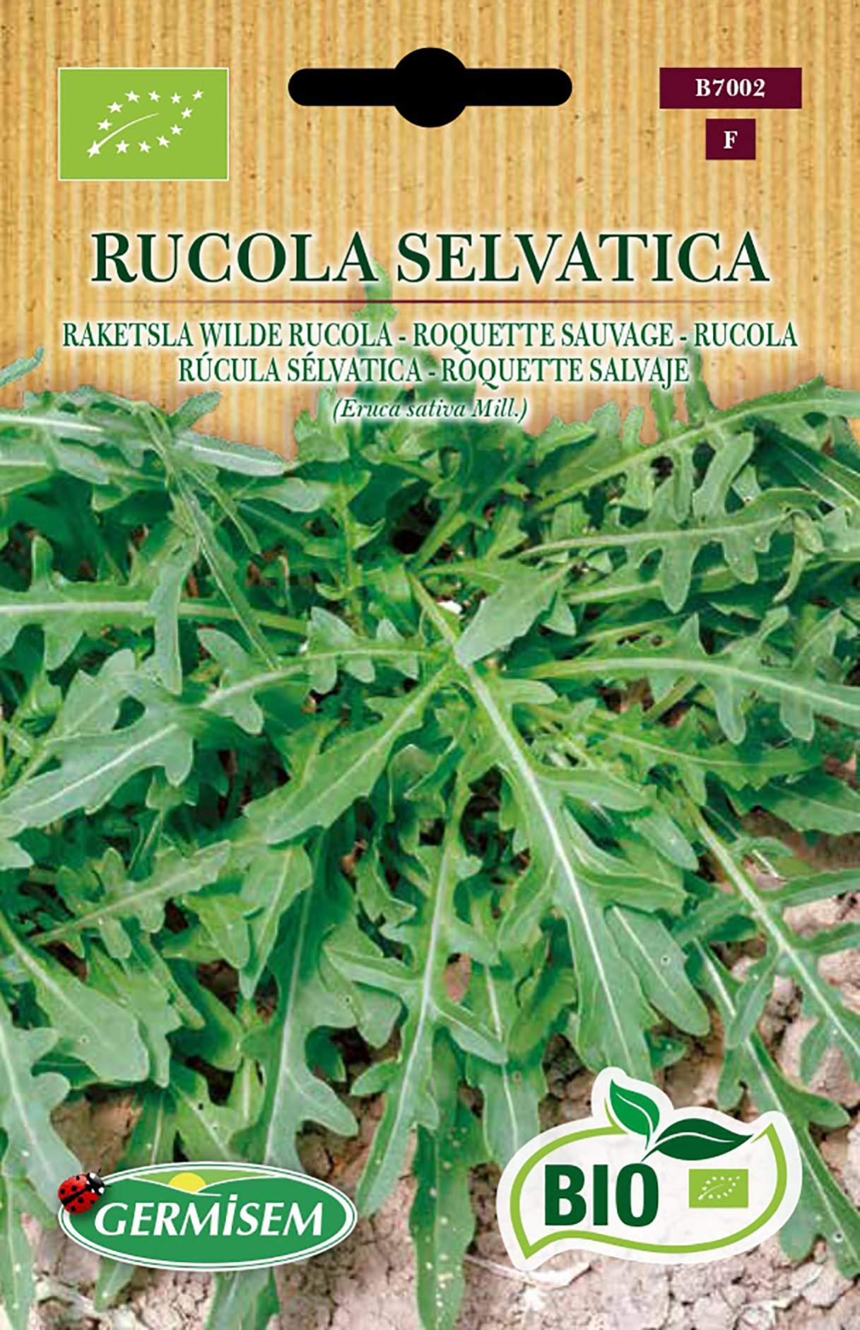 Germisem Biologico Rucola Selvatica Semi di Rucola 2 g | Leroy Merlin