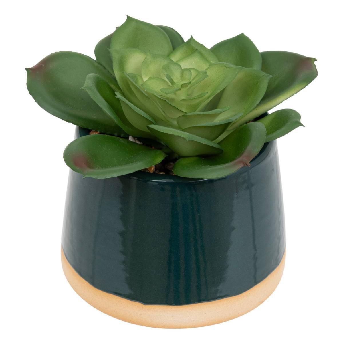 Plante artificielle pot céramique H12cm - Atmosphera créateur d'intérieur | Leroy Merlin