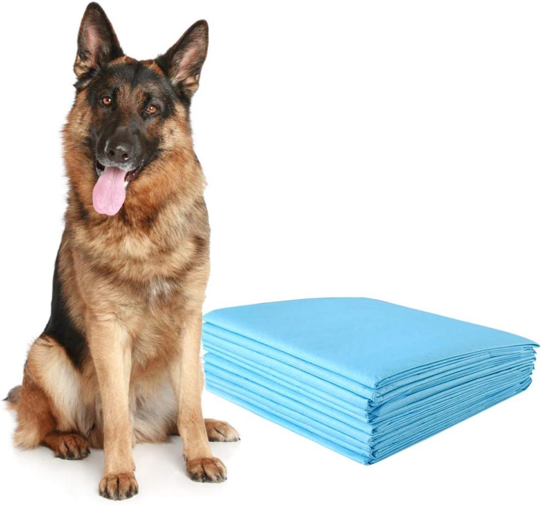 Alaise pour Chien Jetable 75x75cm, Tapis Educateur Chien 150pcs en 5 ...