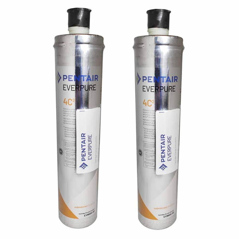 Pack de 2 filtros antimicrobianos Everpure 4C2 0,5 micras - 1,9 l/min ...