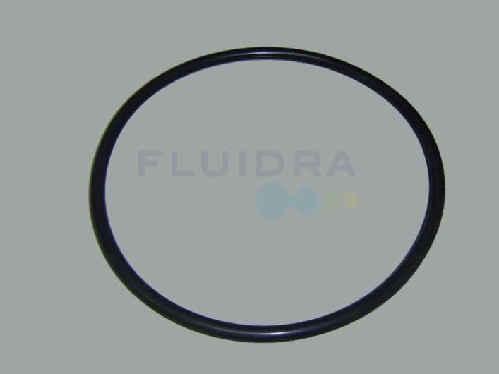 GUARNIZIONE COPERCHIO DOSATORE CLORIMAX | Leroy Merlin