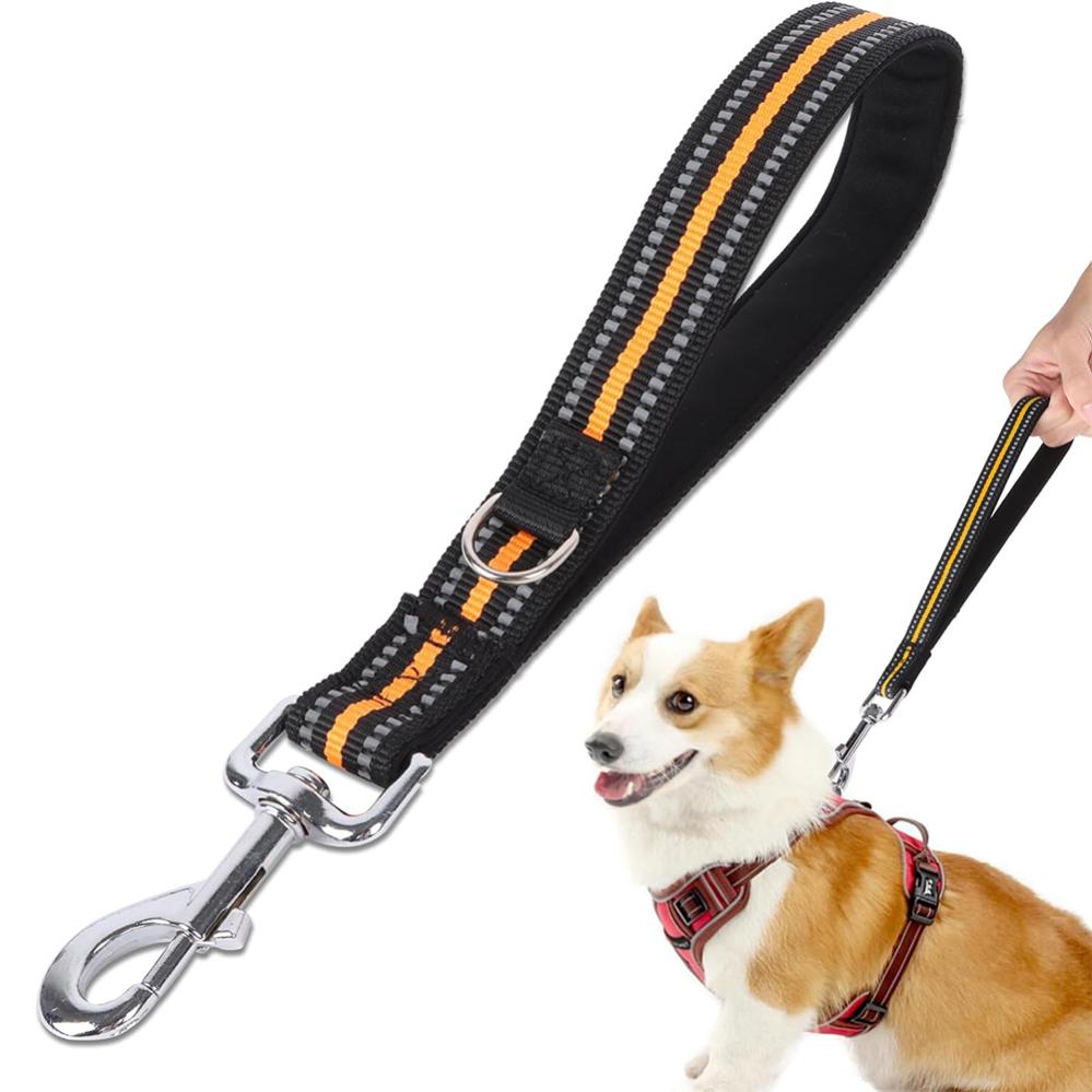 Laisse Courte Chien 30 cm, Laisse Réfléchissante pour Chien (Noir ...