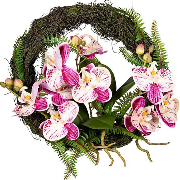 Kaiserkraft | Corona da parete di orchidea phalaenopsis | con radici e ...