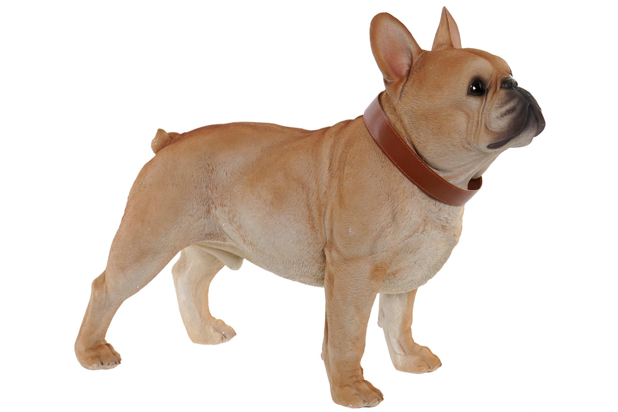 Figura Resina 50X20X42,5 Bulldog Marron | Leroy Merlin