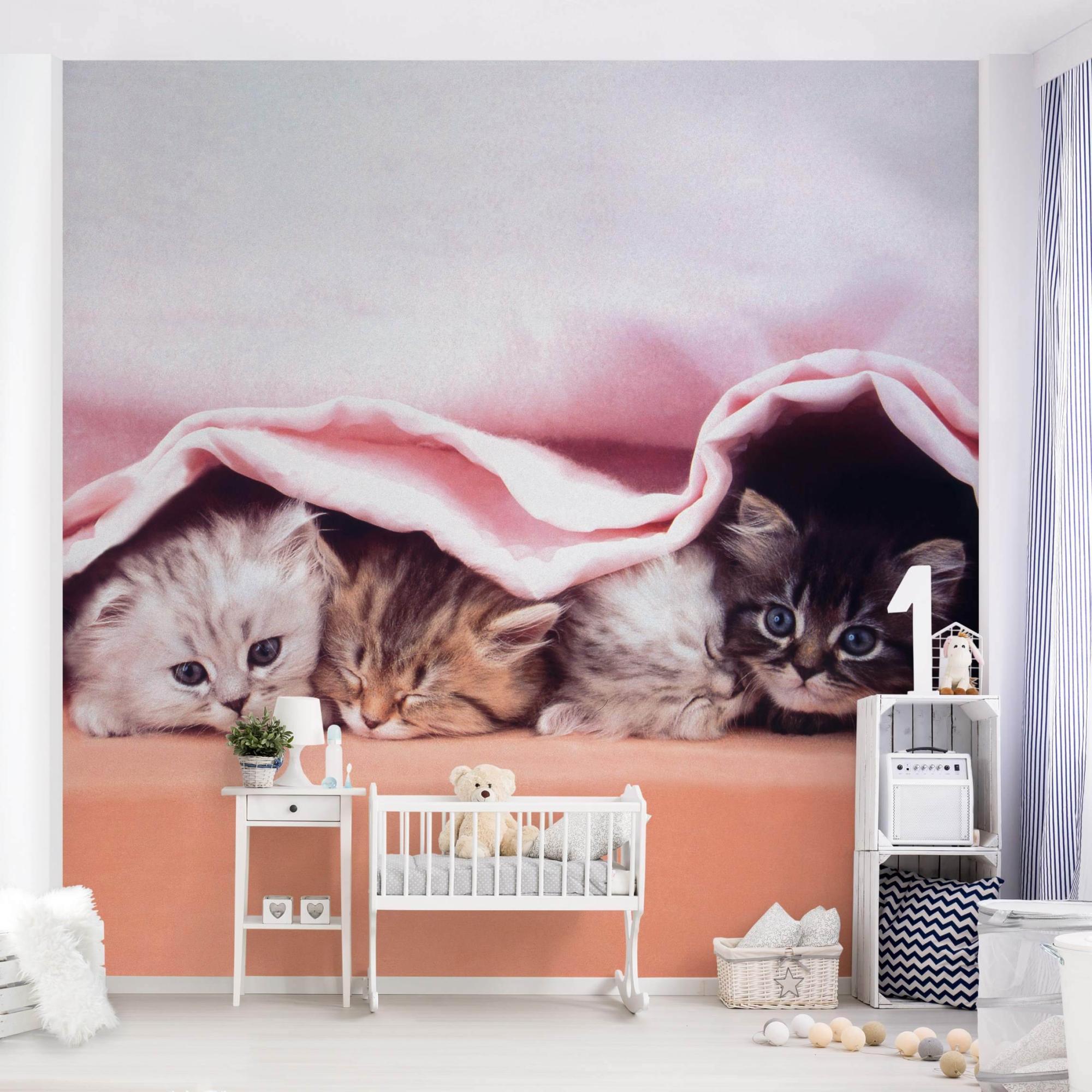 Papier peint panoramique animaux enfants 116 - chambre enfant moderne ...
