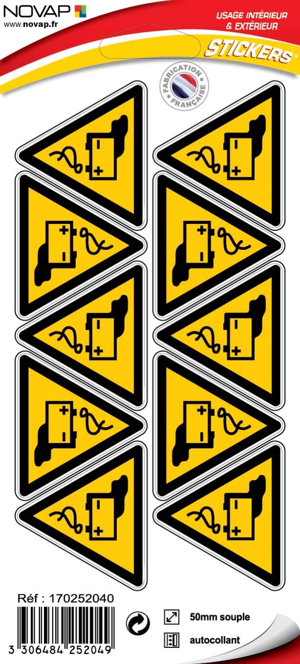 Planche 10 Pictogrammes Triangle 50mm - Danger Batteries - 4252049 ...