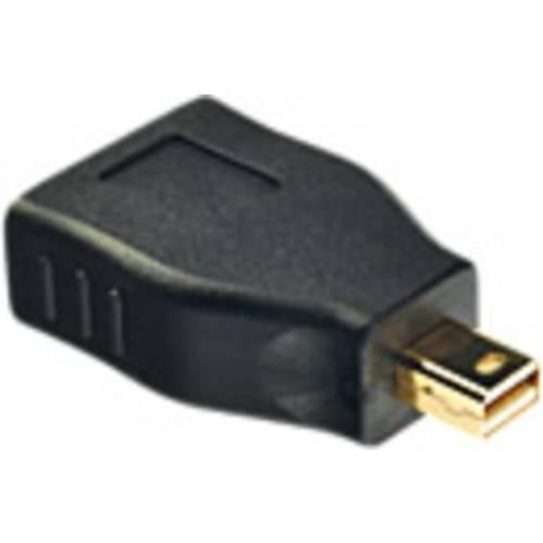 LINDY 41077 Mini-Display / DisplayPort Adaptateur [1x Mini port Display ...