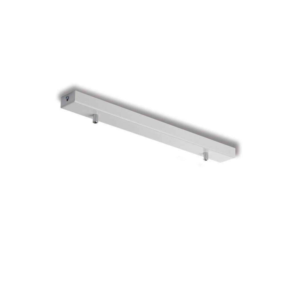 Rosone Rettangolare Multicavo Ferro Bianco 2 Fori Binario | Leroy Merlin