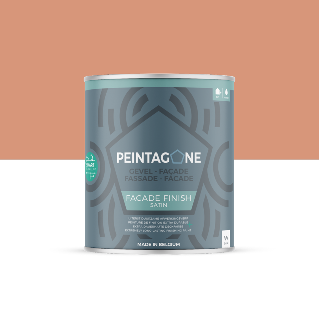 Peinture de finition extra durable pour murs intérieurs & façades ...