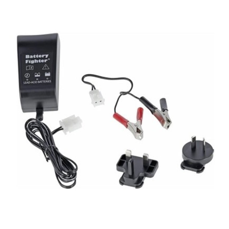 Chargeur batterie autoportée 12V - 200mAh GGP - 1134-9250-01 | Leroy Merlin