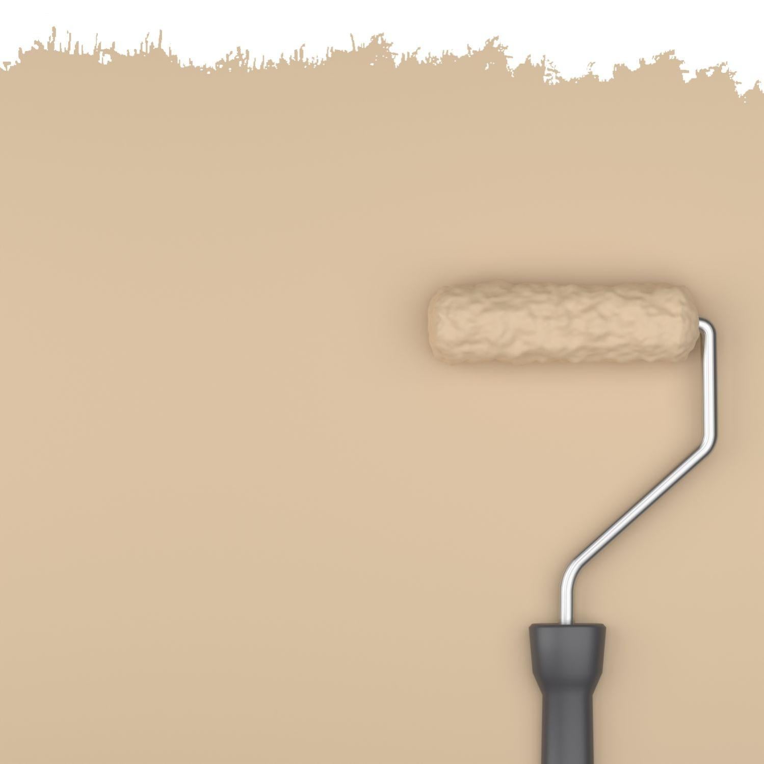 Peinture murale mate terracotta claire - 2L - ESTAhome | Leroy Merlin