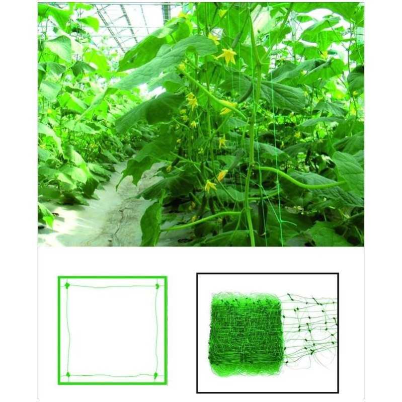 Rete Plastica per Rampicanti Rotolo 50 M H.Cm. 200 | Leroy Merlin